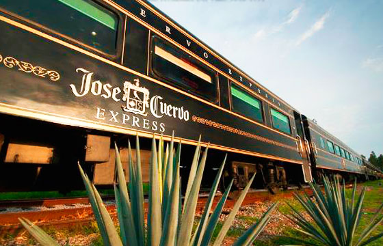 jose-cuervo-articulo - El Viajero Fisgón