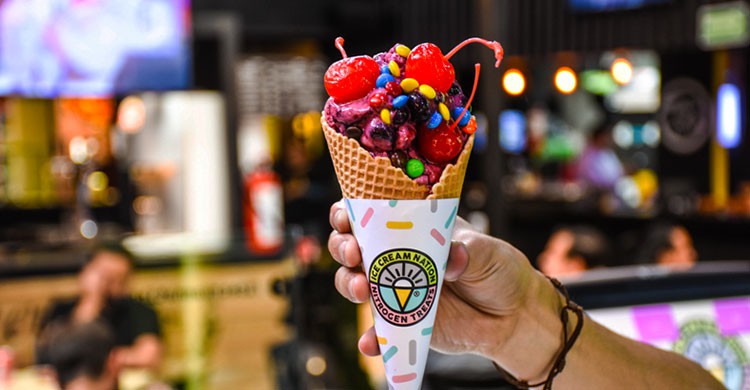 - El Viajero Fisgón