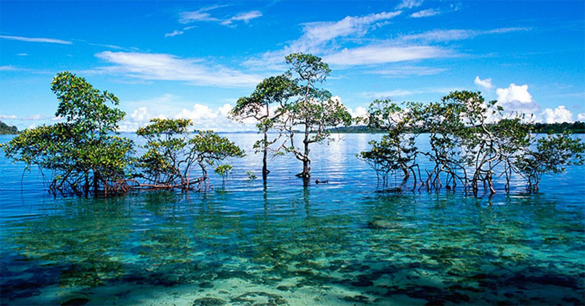 ¡Descubre esta isla de ensueño para las vacaciones perfectas! - El ...